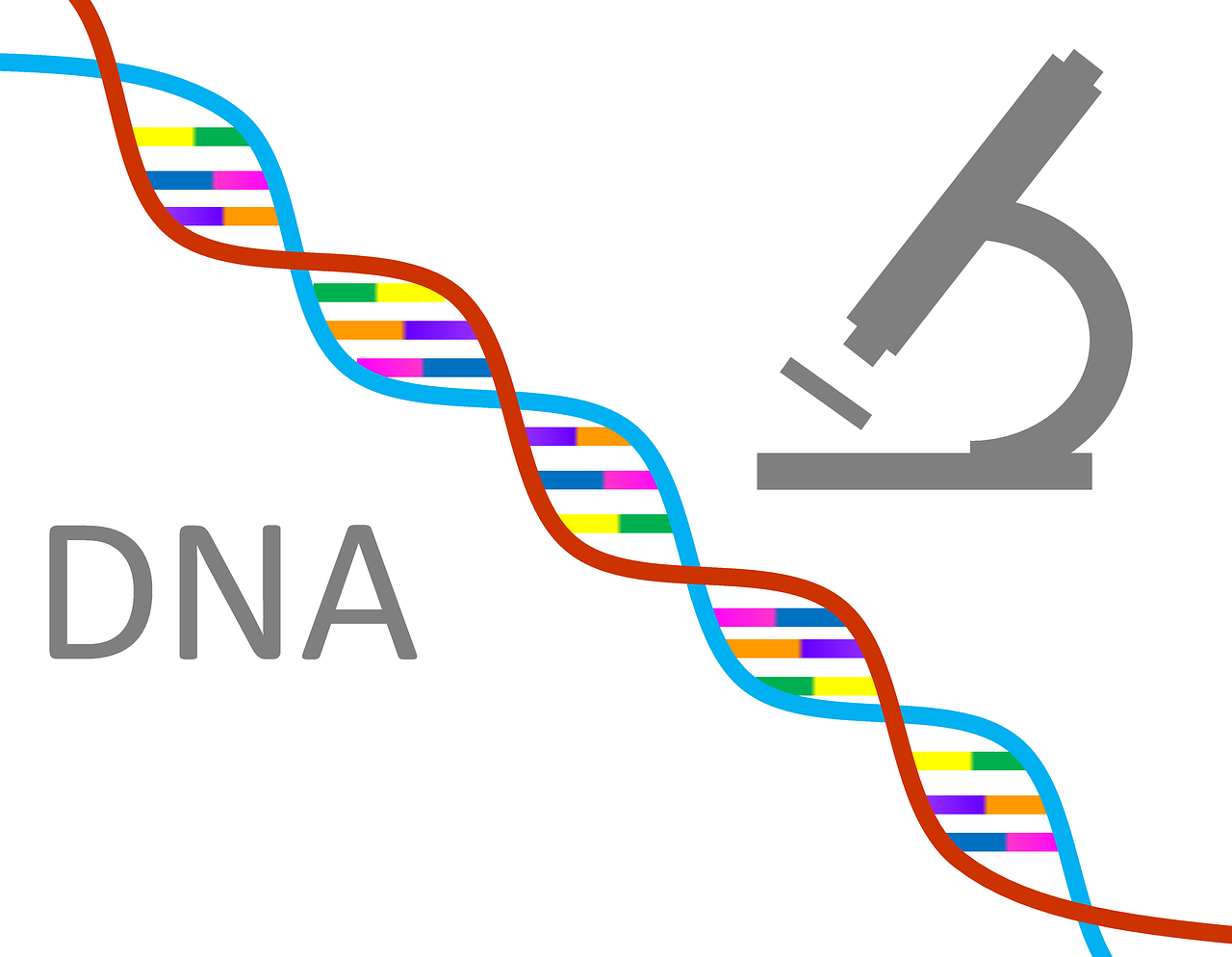 Genetic Evidence for Human Evolution - (ONLY ZOOLOGY) Genetic Evidence for Human Evolution - (ONLY ZOOLOGY)
