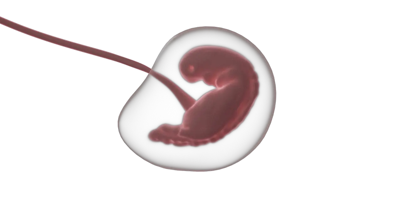 Evo Devo Integration Of Developmental Biology And Evolution Only