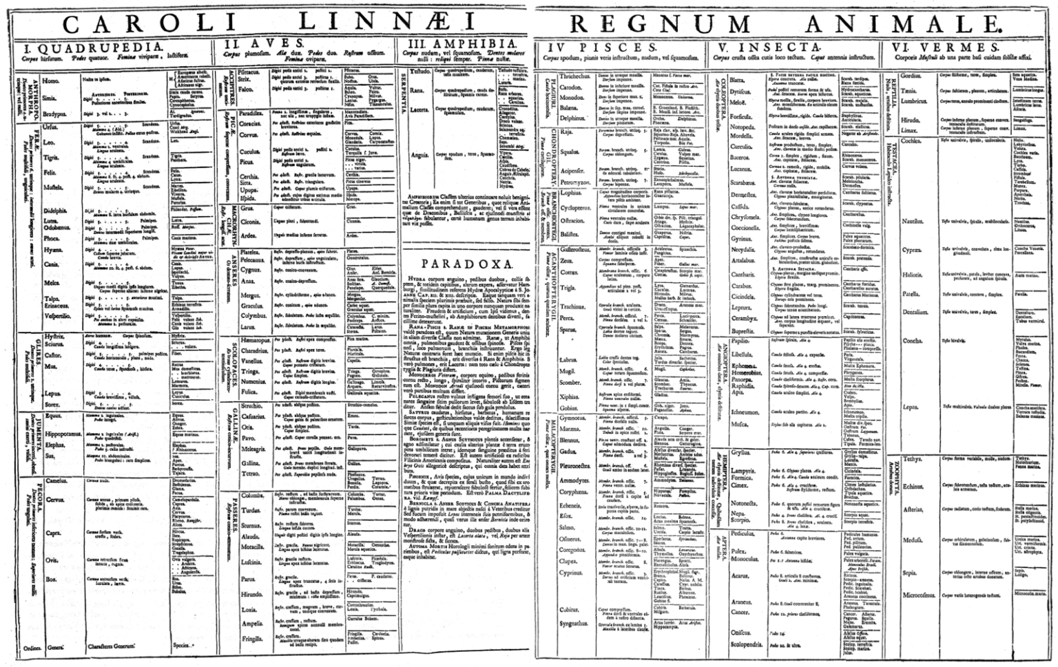 Binomial Nomenclature: The Universal Language of Species Classification ...