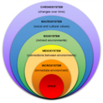 Historical Development of Ecology: Key Milestones and Theories - (ONLY ...