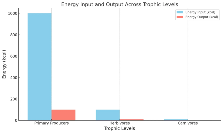 Energy Flow in Ecosystems: Pathways, Laws, and Examples - (ONLY ZOOLOGY)