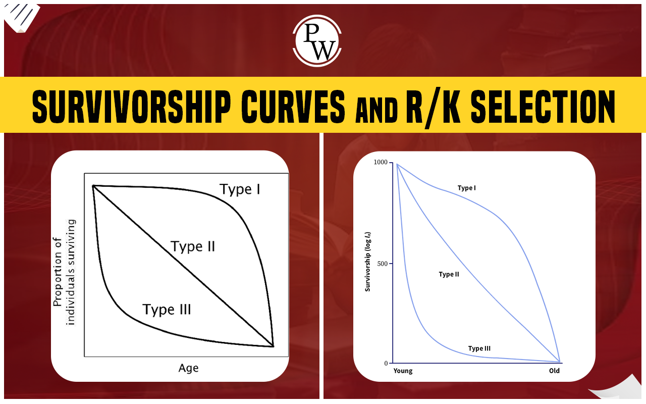 Life History Strategies: r-Selection vs K-Selection Explained - (ONLY ... Life History Strategies: r-Selection vs K-Selection Explained - (ONLY ...