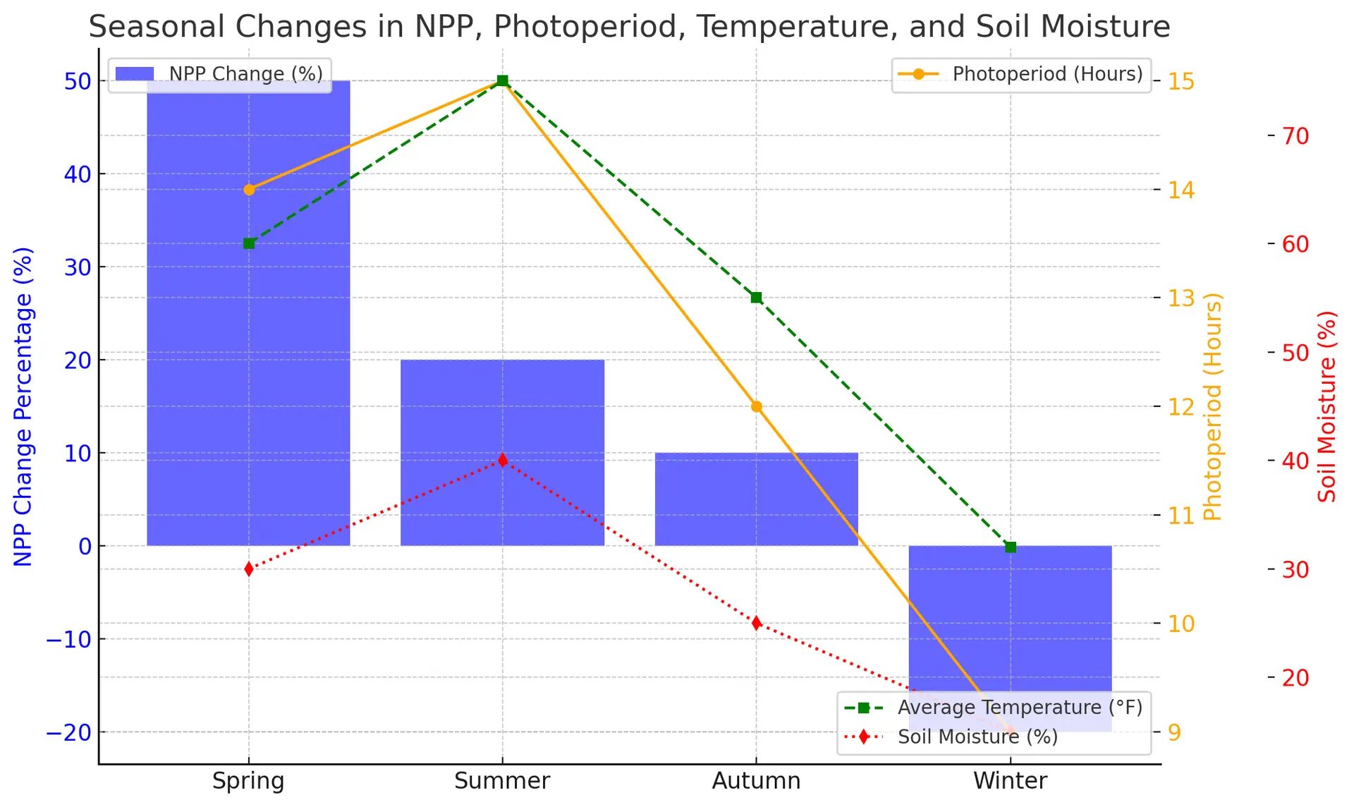 Temperate Forests: Seasonal Changes and Ecological Characteristics ...