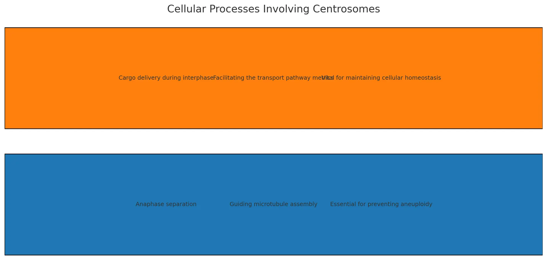 The Centrosome as a Microtubule-Organizing Center: Structure and ...