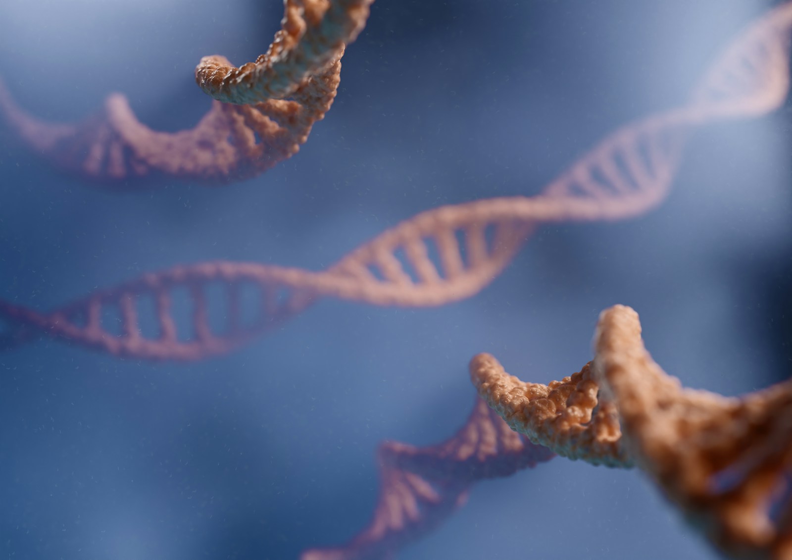 The Dual Genome of Mitochondria: Coordinating Nuclear and Mitochondrial ...