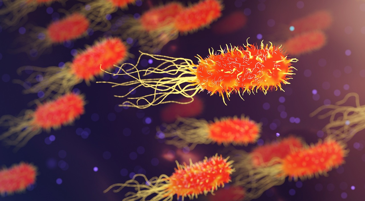 Intracellular Bacteria: Exploring the Hidden World of Chlamydia ...