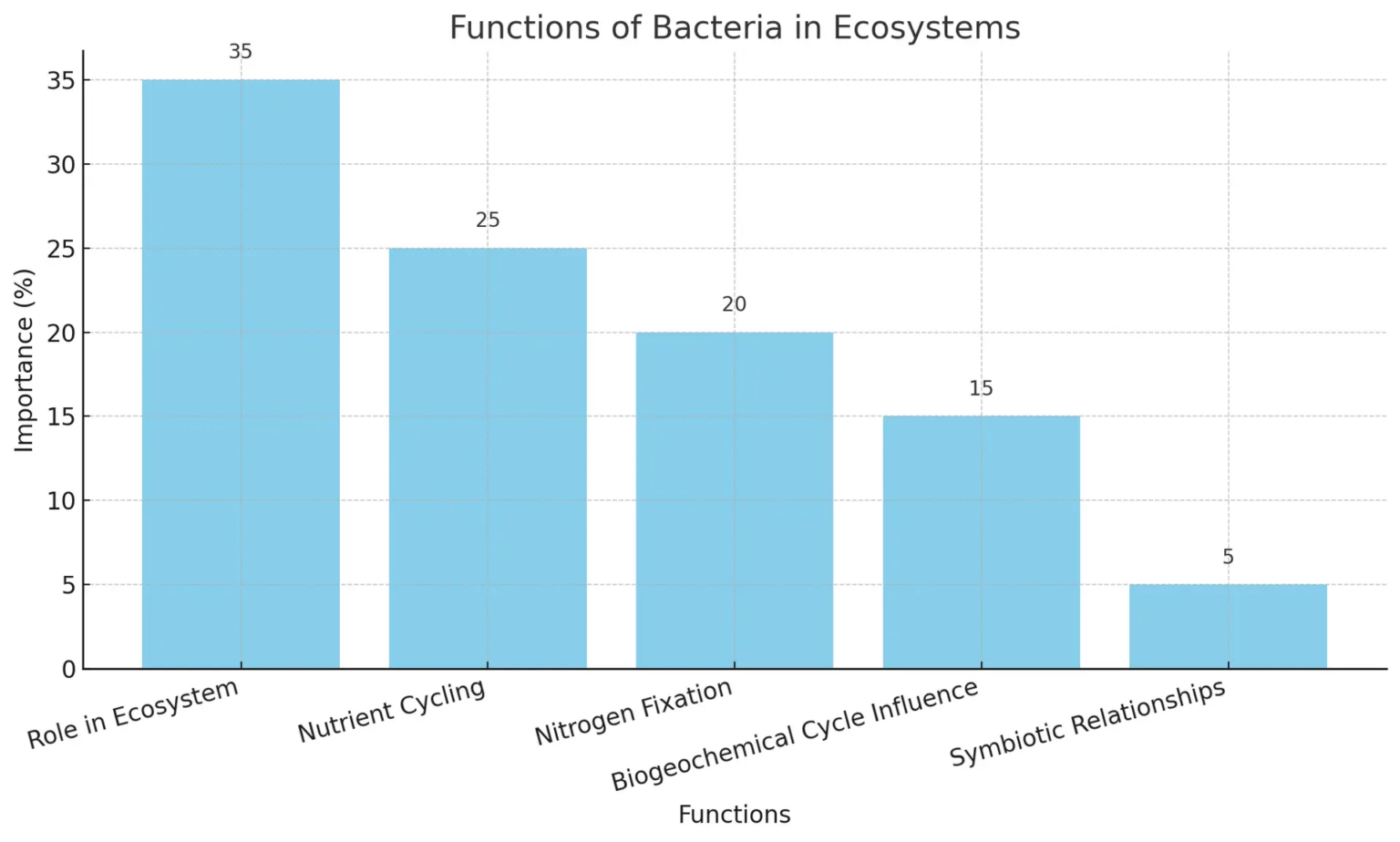 What Are Bacteria? Structure, Types, and Functions Explained - (ONLY ...