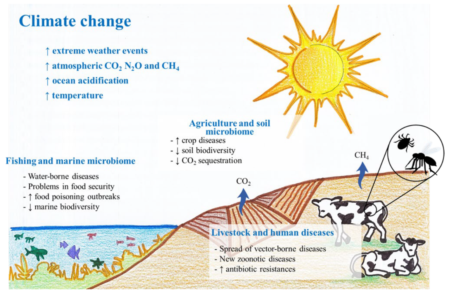 Bacteria in Water: Their Role in Cleaning Pollutants and Causing ...