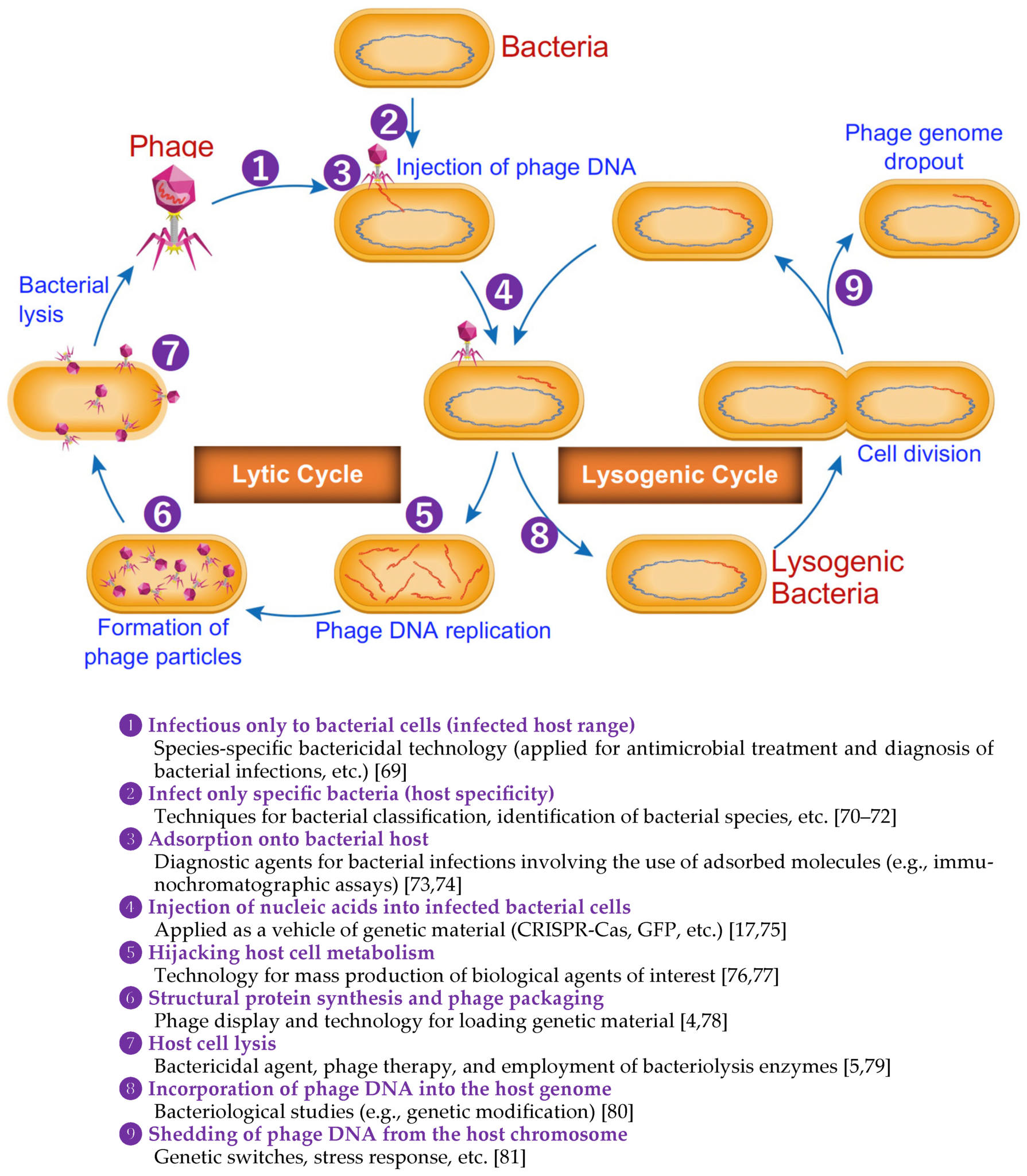 Microbes in Medicine: Understanding Their Impact and Role